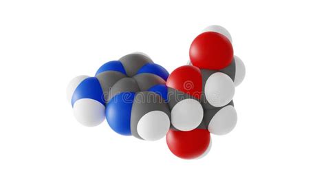 Cordycepin Stock Illustrations 8 Cordycepin Stock Illustrations Vectors And Clipart Dreamstime