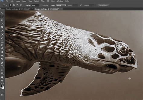 How Photoshops Sharpening Filters Work PictureCorrect