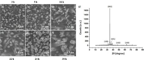 Sem Images Top View Of The Morphology Of Zno Nanowire Arrays Growing