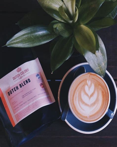 5 Best Specialty Coffee Roasters In Singapore Top Rated 2025