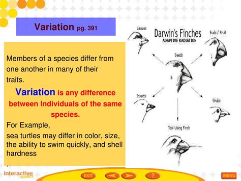 variation theory