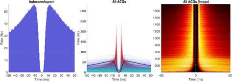 Single Cell Plot Options Cellexplorer