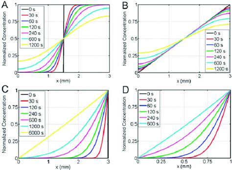 Concentration Gradient Graph