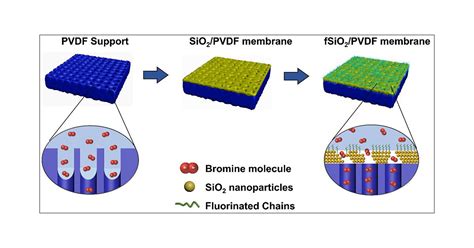 Development Of Robust Fluorinated Sio2 Pvdf Composite Hollow Fiber Membrane For Bromine