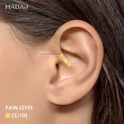 Daith Piercing Full Guide Madaj Piercings