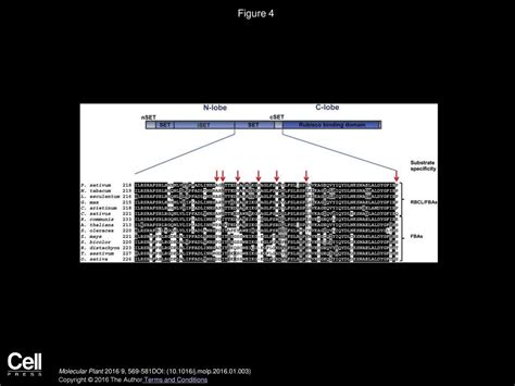 volume 9 issue 4 pages april 2016 ppt download