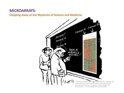 ppt microarrays chipping away at the mysteries of science and