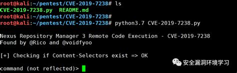 CVE 2019 7238 Nexus Repository Manager 3 RCE漏洞复现 搜狐大视野 搜狐新闻