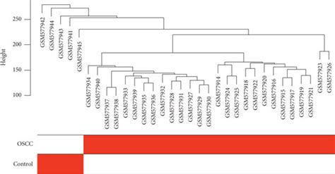 Sample Clustering And Network Construction A Clustering Dendrogram