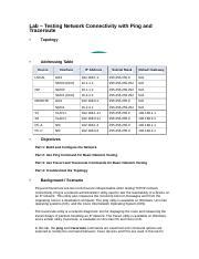 Lab 7 3 2 7 Lab Testing Network Connectivity With Ping And Traceroute Topology Addressing