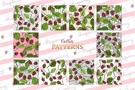 Raspberry Vector Collection MasterBundles