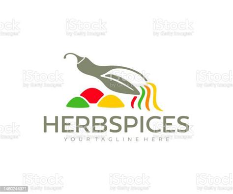향신료와 향신료 특종 허브 음식과 식사 그래픽 디자인 요리 고추 심황 카 다몬 계피 정향 아니스 파프리카 벡터 디자인 및