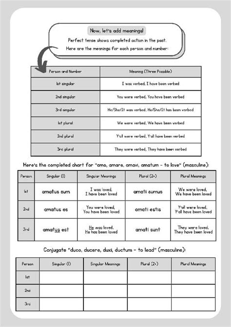 Latin Practice Worksheet Perfect Tense Passive All Conjugation Verb