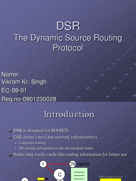 Dsr Pdf Routing Network Architecture