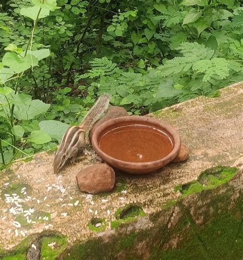 Its Summer Time And Intense Heatwaves Has Already Started Spreading