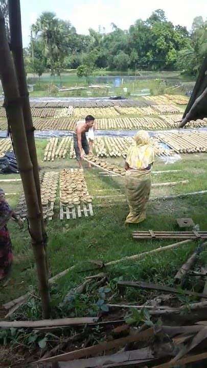 দই বাটি রৌদ্র শুকানো হচ্ছে এর পর আঙগা দেওয়া জন্য Viralvideo Bangladesh Youtube