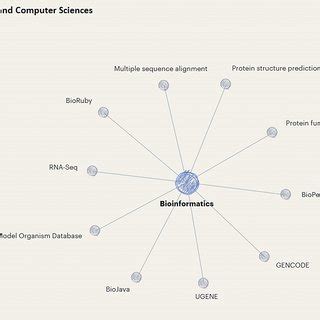 Relationship Between Bioinformatics Concept And Core Concepts In Download Scientific Diagram