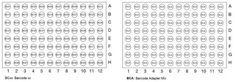 Nanopore Store Pcr Barcoding Expansion 1 96