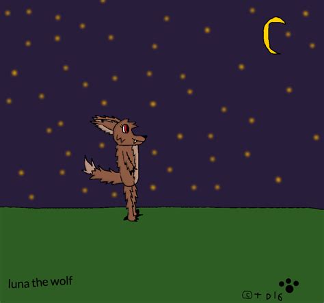 Luna The Wolf By Tailsdoll16 On Deviantart