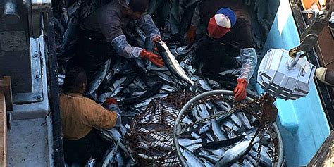Icicle Seafoods Sold To Indonesian Group Dominion Catchers