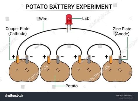 Potato Battery Led Electrochemical Battery Stock Vector Royalty Free 2450640013 Shutterstock