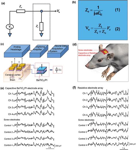 In Vivo Ecog Recordings In Rats Using The As Prepared Capacitive Batio Download Scientific