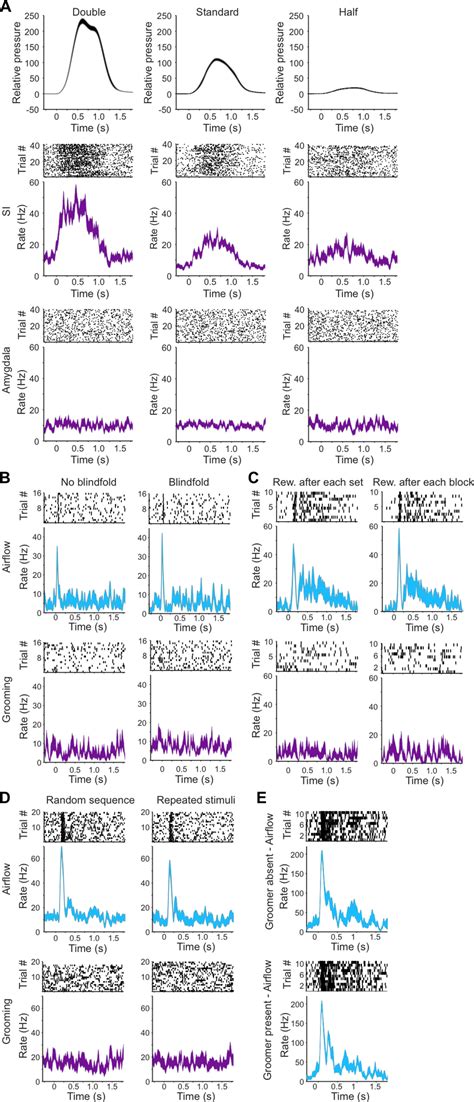 Responses Of Individual Neurons From Control Experiments A Responses