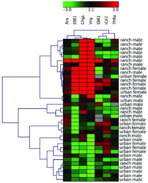 heat map of transcript expression by site and sex expression of
