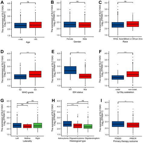 The Prognostic Significance And Immune Correlation Of Slc10a3 In Low Grade Gliomas Revealed By