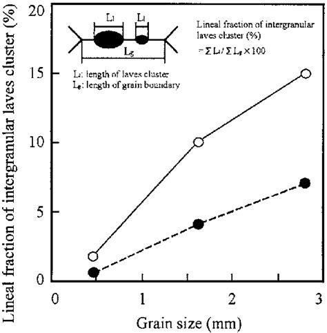 Effects Of Grain Size And Homogenization Heat Treatment On The Amount