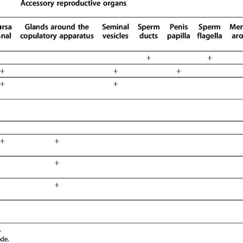 Antibodies And Lectins That Label Accessory Reproductive Organs And