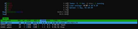 Discrepancy Between Proxmox Mem Usage And Opnsense Native R