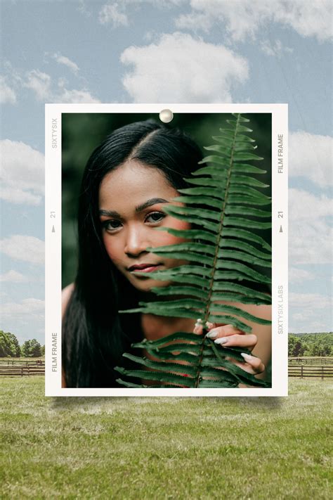 Tricut Tricut Added A New Photo