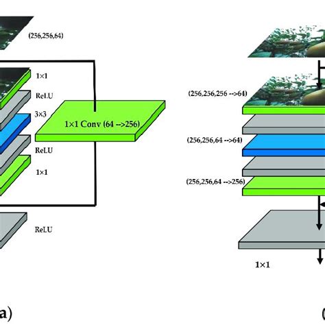 The Inner Structure Of Resnet101 As An Example Of Second Layers C2 Download Scientific