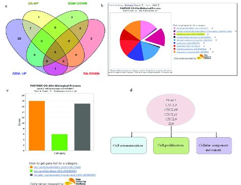Gene Expression Summary And Gene Ontology Analysis A Venn Diagram