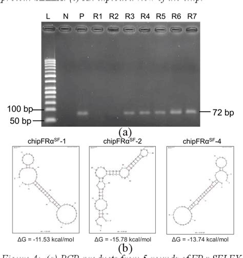 Figure 4 From Optimizing Screening Process Of Aptamers On A Microfluidic System By Shear Force