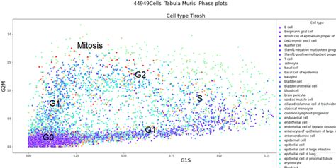 Scrna Seq Tabula Muris Mouse 85 000 Cells Kaggle