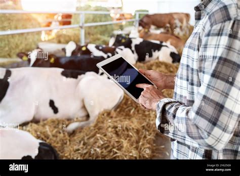 Smart Farming Digital Transformation In Livestock Management Digital Tablet With Blank Screen