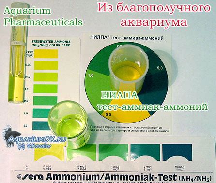 Аммиак в аквариуме: тесты на аммиак/аммоний | АквариумОК