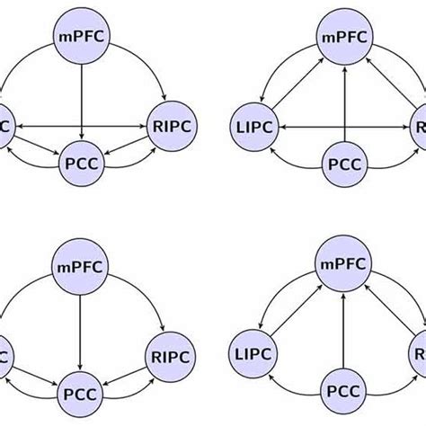 Illustration Of The Default Mode Network Dmn The Dmn Regions Are
