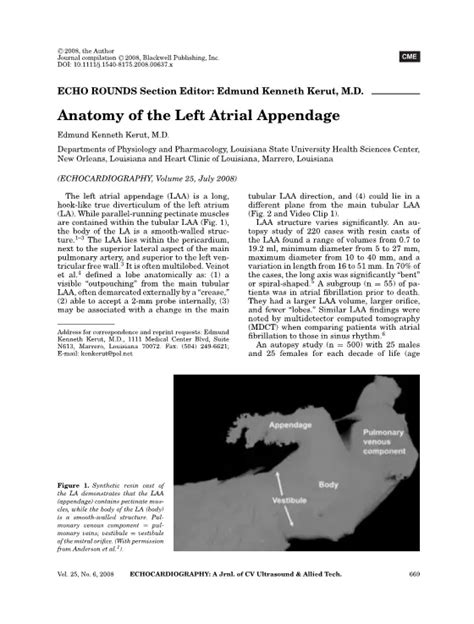 Anatomy Of The Left Atrial Appendage Docslib