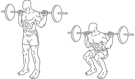 Squat Exercise Alchetron The Free Social Encyclopedia