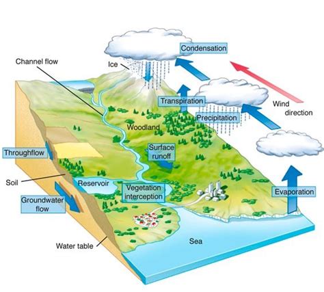 Open And Closed Drainage Basin Hydrosheds Bas Drainage Basins