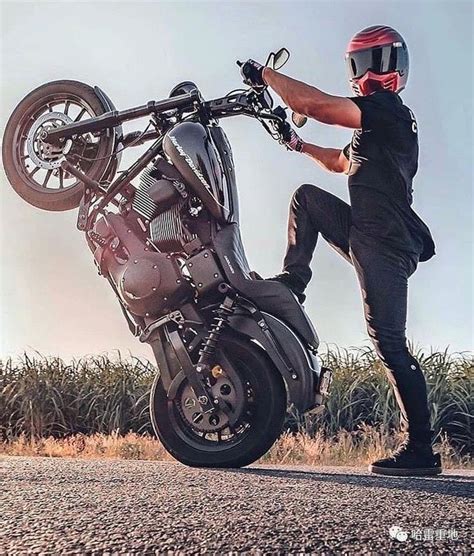 Pin By Rock Nrolla On Harley Harley Dyna Stunt Bike Harley Davidson