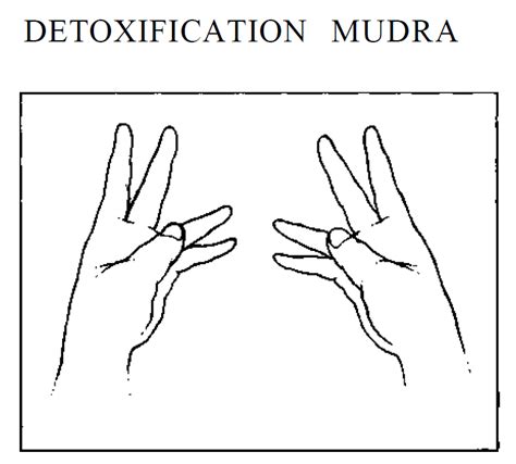 Detoxification Mudra 32 Learn Self Healing Techniques Online