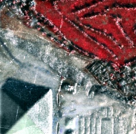 Fused Multispectral Quickbirdterrasar X Image Of Gizeh Using A Low