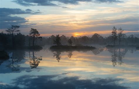 Birding Trips Bear Watching And Photography Mammals And Experience