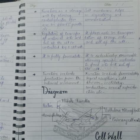 splendidly handwrite notes letters in cursive writing by ghazia012