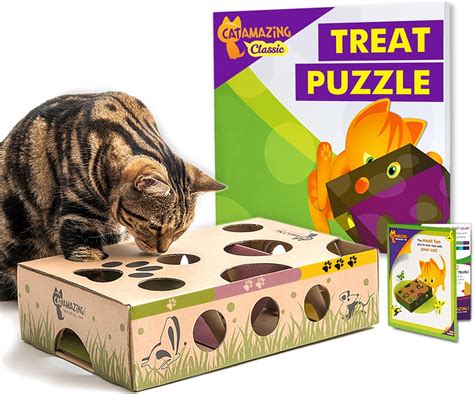 Cat Amazing Interactive Treat Maze And Puzzle Cat Toy Amazonca Pet