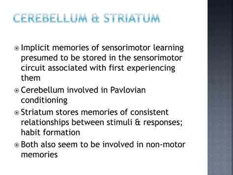 Ppt Ch 11 Learning Memory And Amnesia Powerpoint Presentation Id 1868151